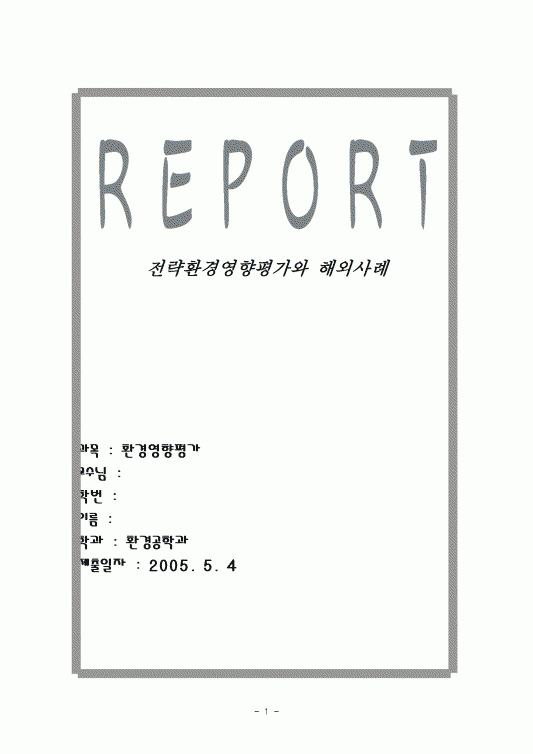 전략환경영향평가와 해외사례(미국, 네덜란드)