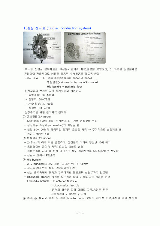 전기생리검사, 전극도자절제술