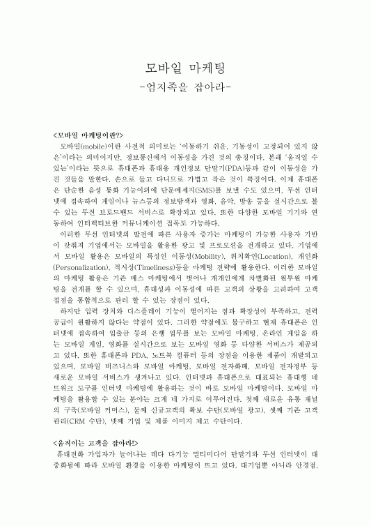 모바일 마케팅의 성공 전략 분석(엄지족을 잡아라)