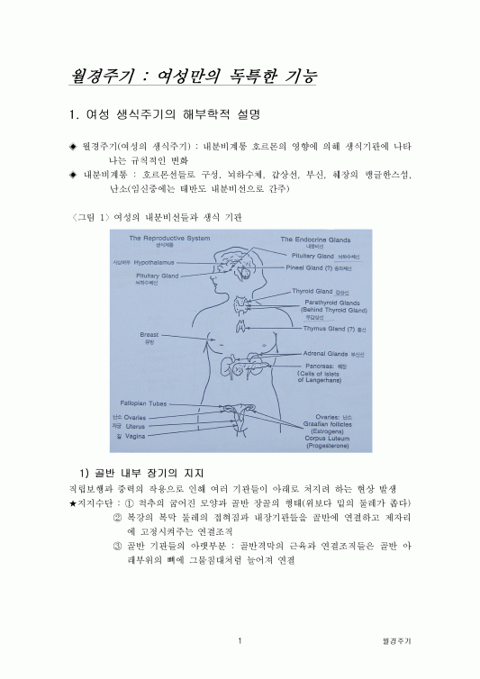 월경주기 레포트 자료