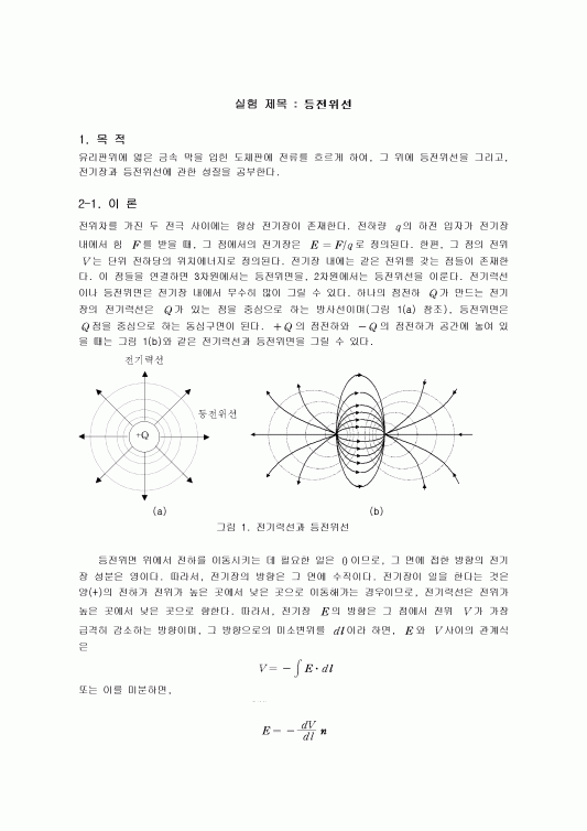 등전위선 실험 관련된 레포트