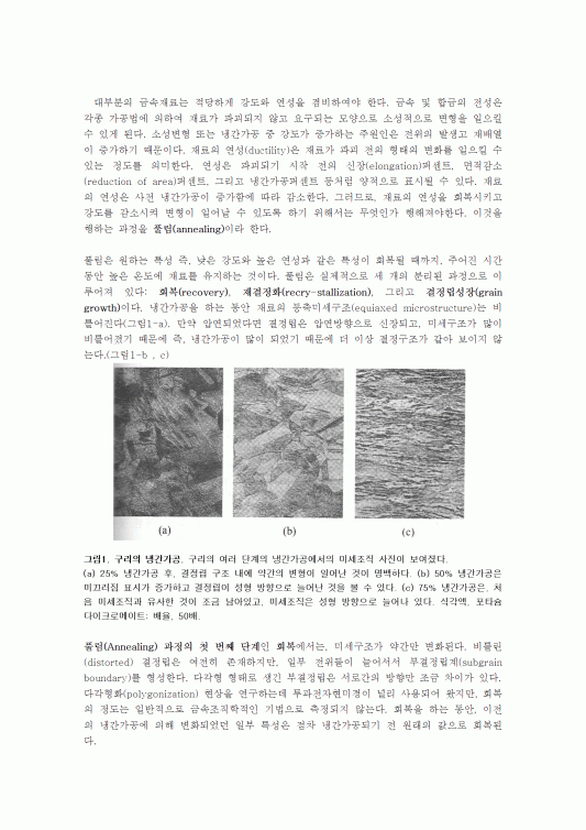 annealing 레포트 자료