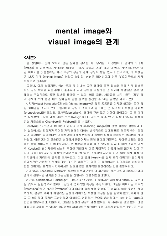 mental image와 visual image의 관계