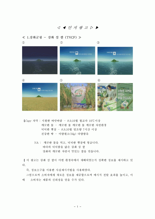 광고론(인지,감성 광고)