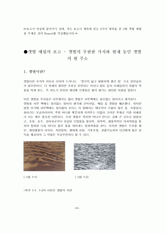 갯벌 매립의 보고