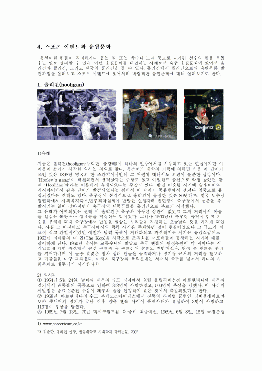 홀리건 과 룰리건
