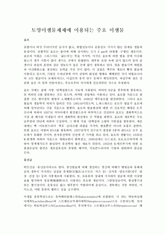 토양 미생물 레포트 자료