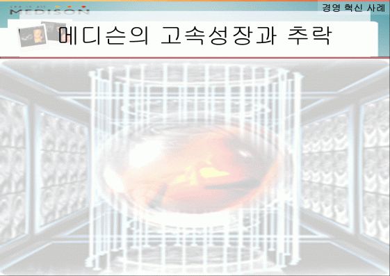 한국 의료업계 메디슨의 고속성장과 추락