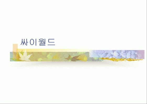 싸이월드 활성화를 위한 방안(SWOT, STP)