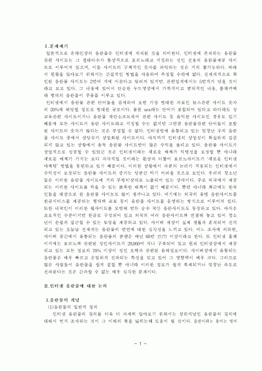 [사회과학]인터넷 음란물에 관한 고찰