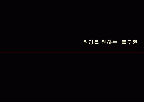 풀무원의 마케팅 전략(Report)