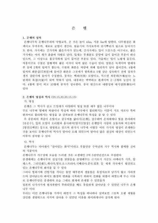 은행에 대한 조사 (은행나무)