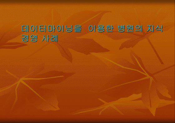 데이터마이닝을  이용한 병원의 지식경영 사례