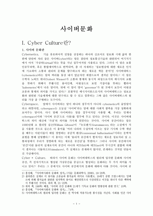 사이버문화 [분석/조사]