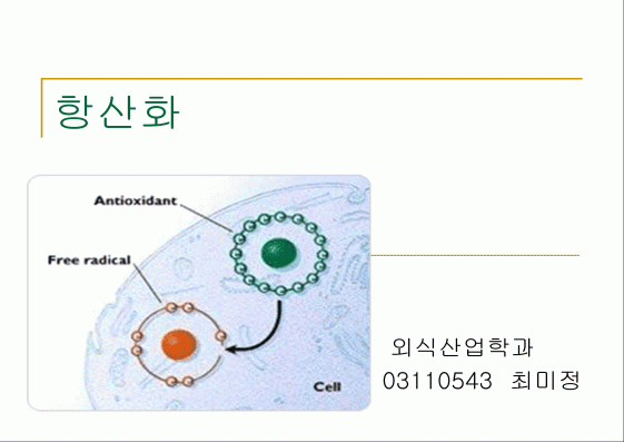 항산화기능을 가진 기능성식품