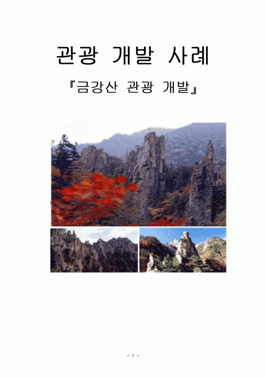관광 개발 사례『금강산 관광 개발』