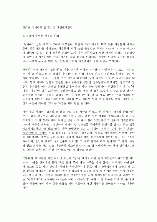 청소년 성매매 문제점 및 해결 대책방안.