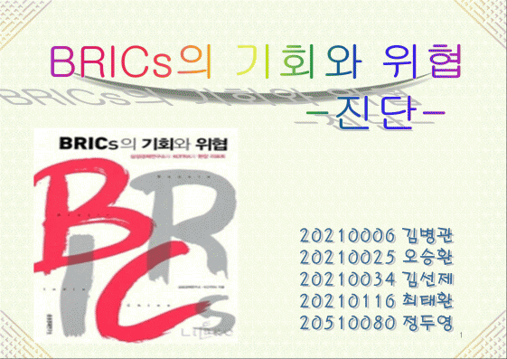 BRICs의 국가별 특징 기회와 위협