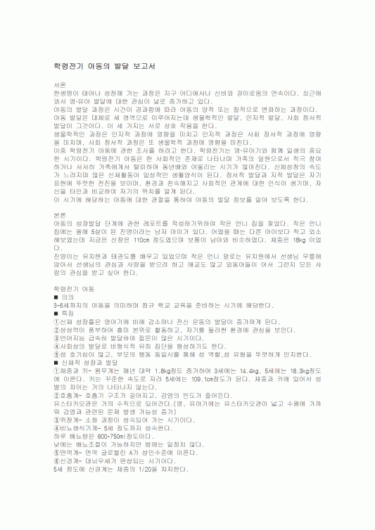 학령전기 아동의 발달 보고서