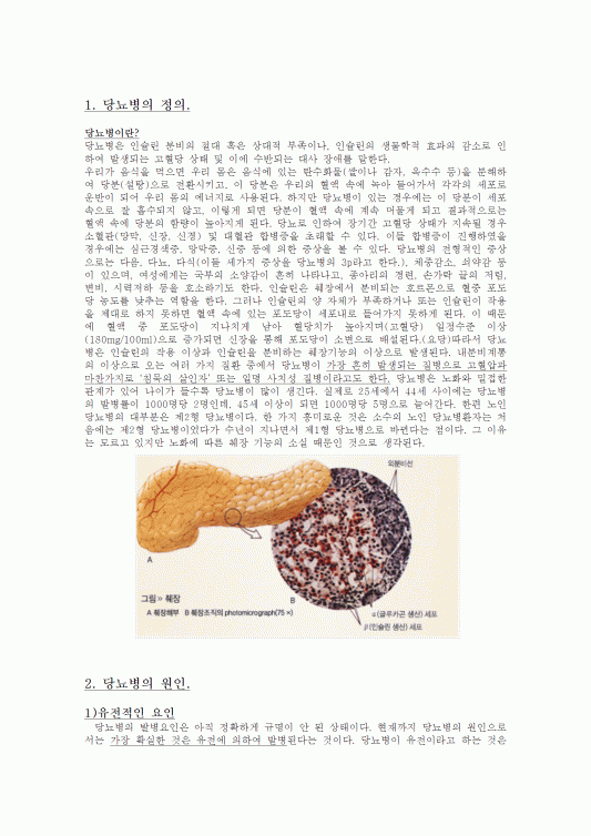 당뇨병의 이해
