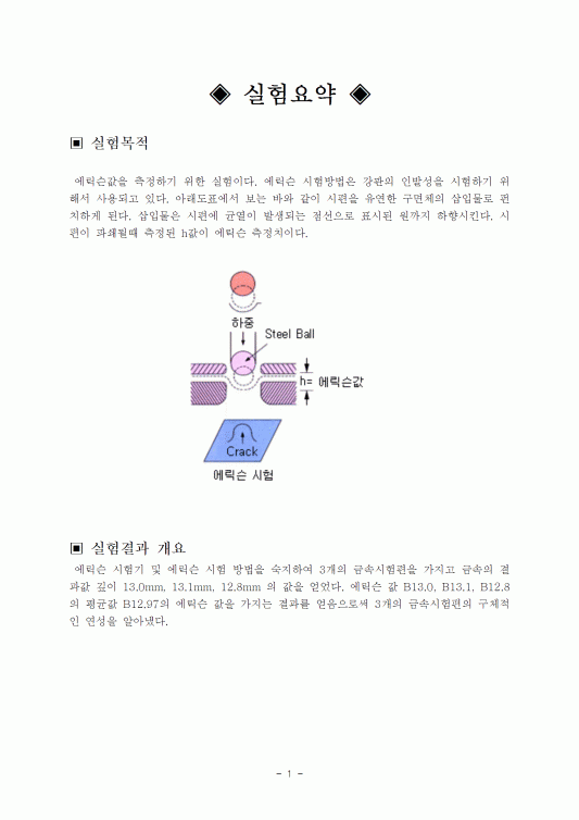 에릭슨 시험 레포트 자료