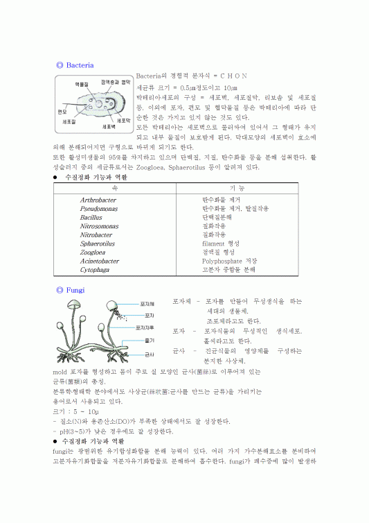 미생물의 수질정화 기능과 역할
