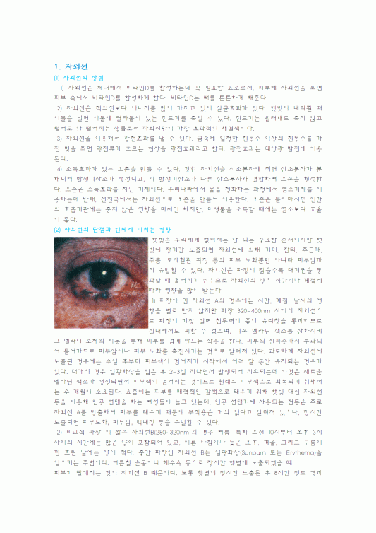 오존층의 파괴 자외선