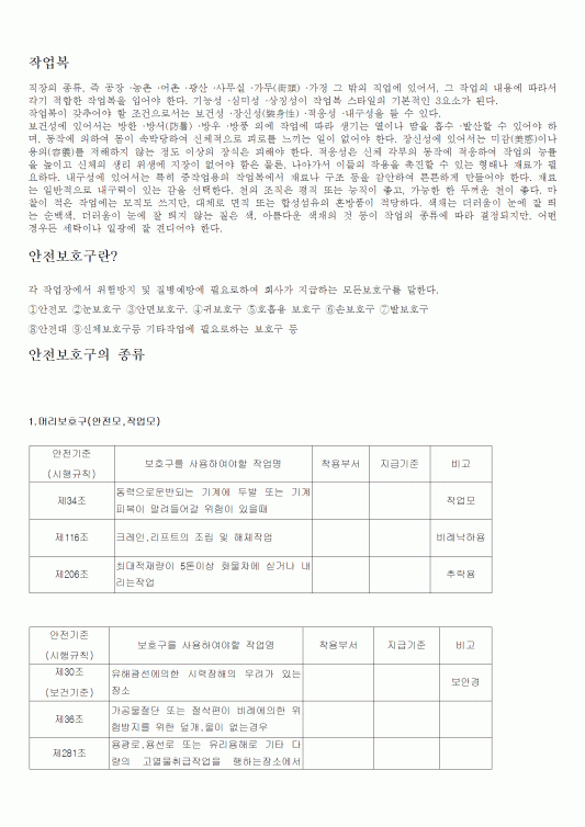 안전보호구 레포트 자료