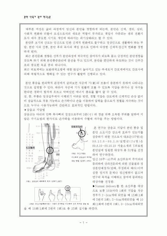 보완대체요법을 이용한 분만이나 산욕기 관리 논문 분석