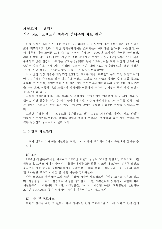 갤럭시-제일모직(마케팅성공사례)