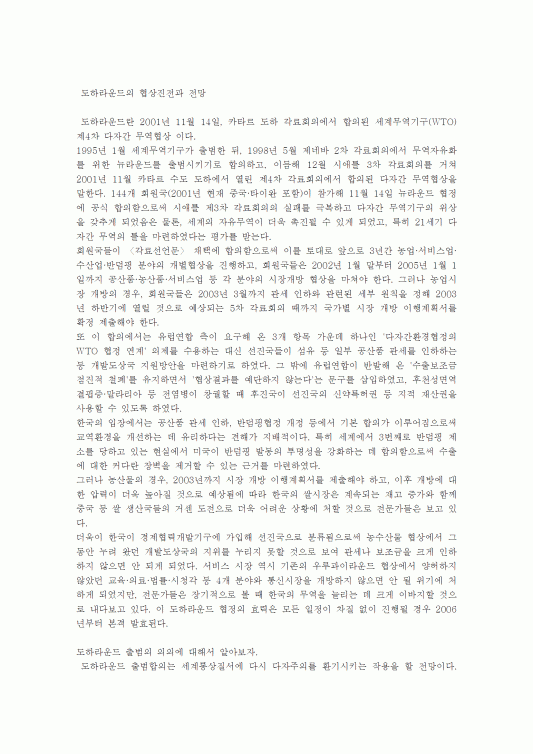도하라운드의 현상진전과 전망
