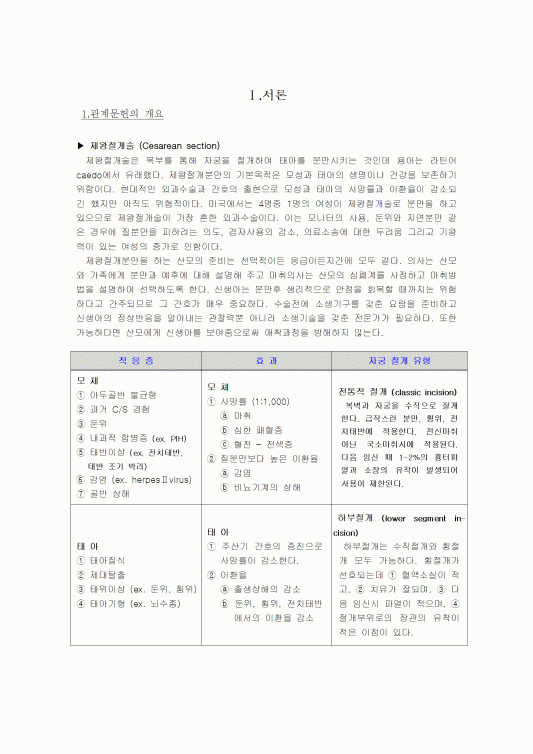 제왕절개술 스터디 케이스