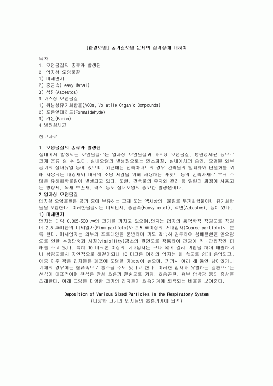 공기질오염 문제의 심각성에 대하여