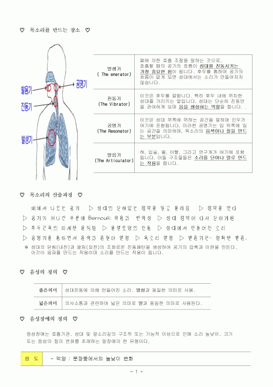 음성장애에 관한 조사와 치료-지도방법