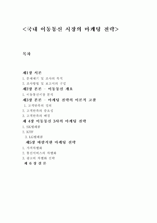 국내 이동통신 시장의 마케팅 전략