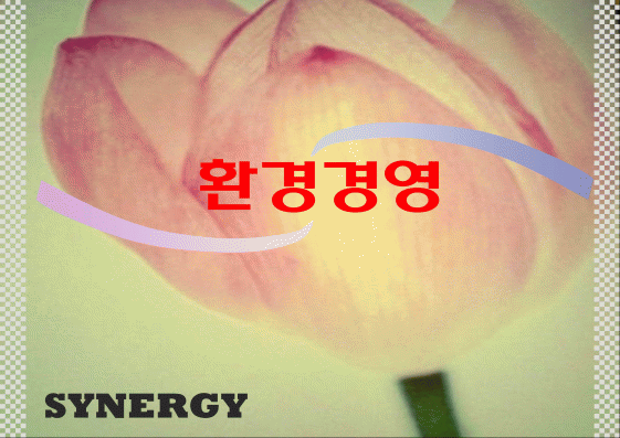 환경경영에 대해서