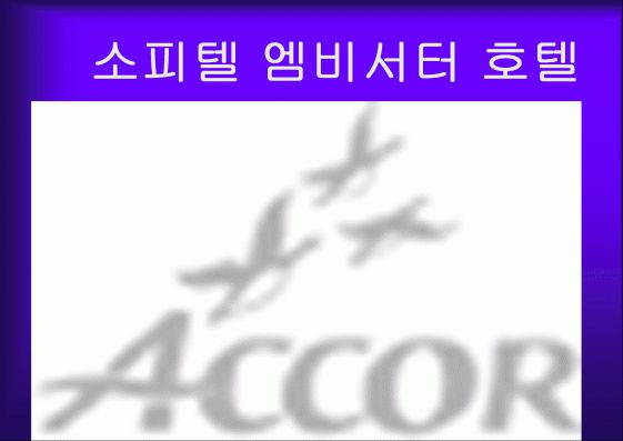 특2급 호텔 소피텔 엠베서더 재무제표 분석 및 재무지표, 재무비율, 향후방향, 결론