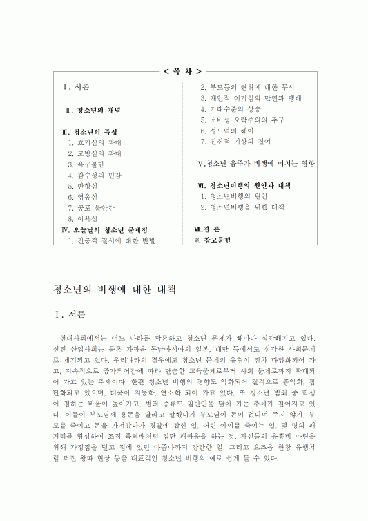 청소년의 비행에 대한 대책
