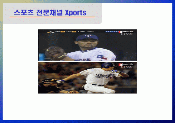 xports 분석 레포트 자료