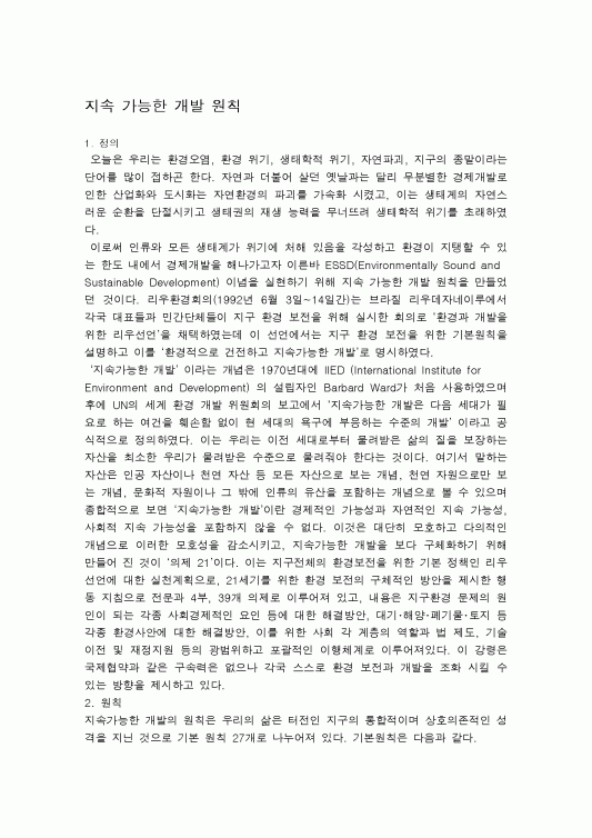 지속 가능한 개발 원칙