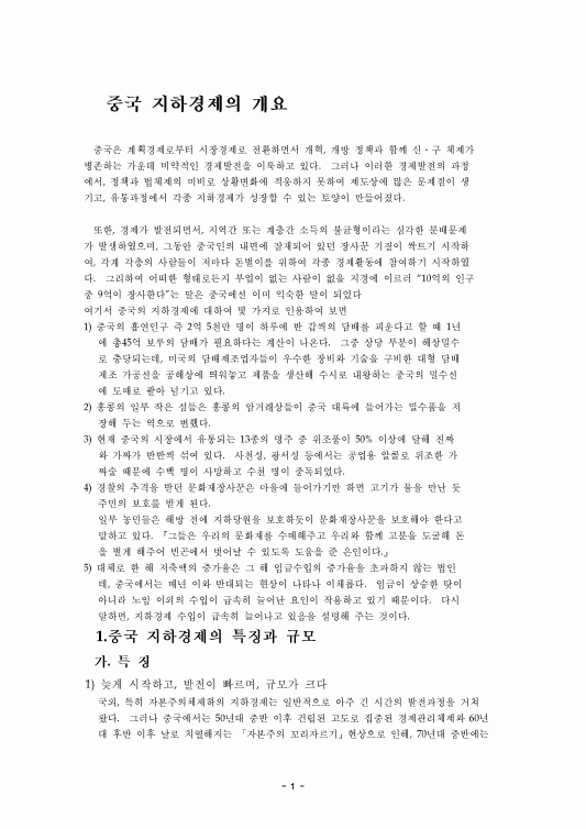중국의 지하경제