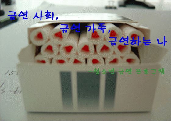 청소년 금연 프로그램(금연 사회, 금연 가족, 금연하는 나)