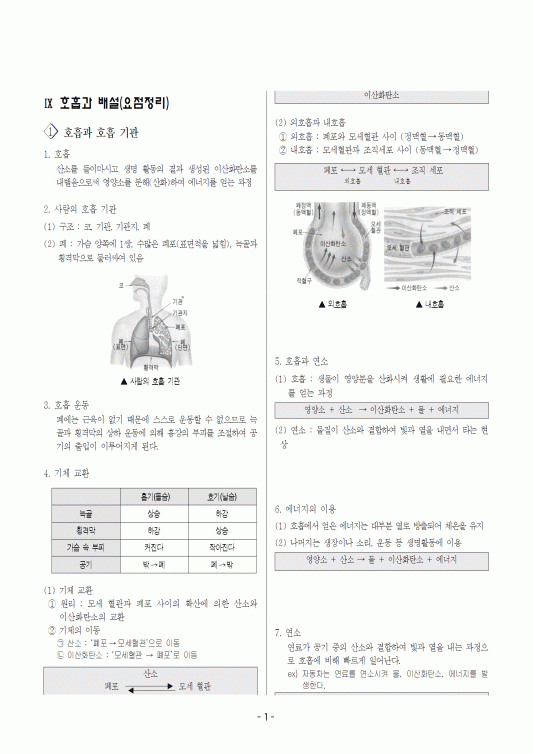 [과외]중학 과학 1-2학기 중간 호흡과 배설