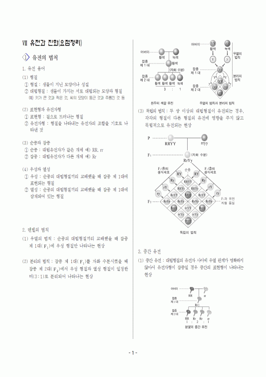 [과외]중학 과학 3-2학기 중간 유전과 진화