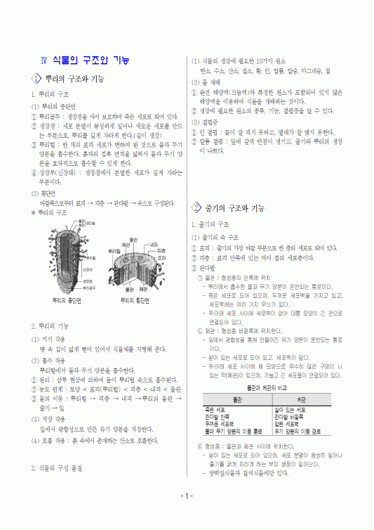 [과외]중학 과학 2-1학기 중간 03 식물의 구조와 기능
