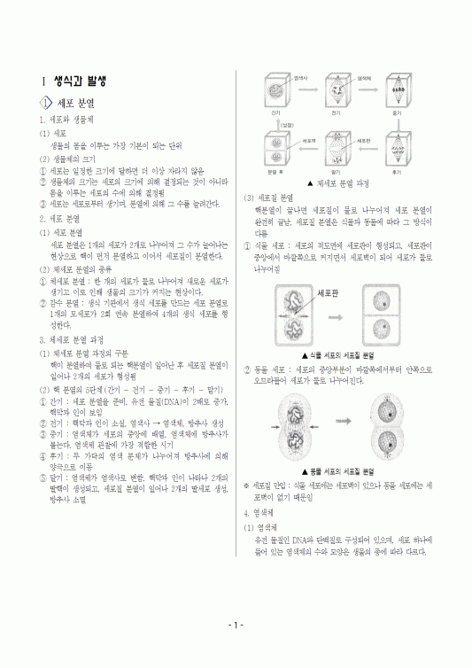 [과외]중학 과학 3-1학기 중간 01 생식과 발생