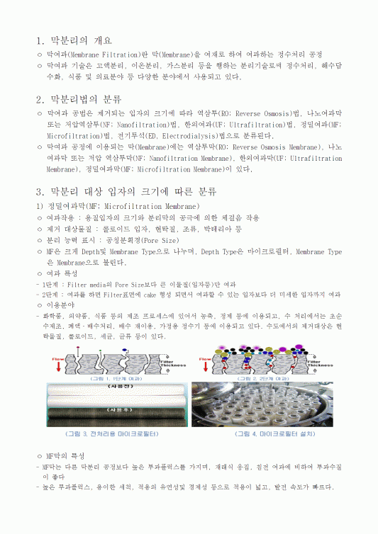 막분리의 이론과 시장성