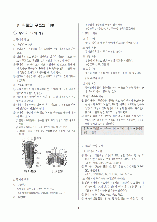 [과외]중학 과학 2-1학기 기말 04 식물의 구조와 기능(교사용)