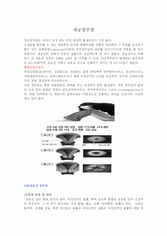 자궁경부암 질병보고서