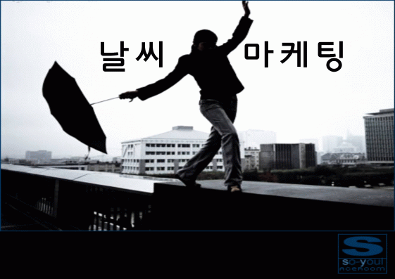 날씨마케팅 레포트 자료